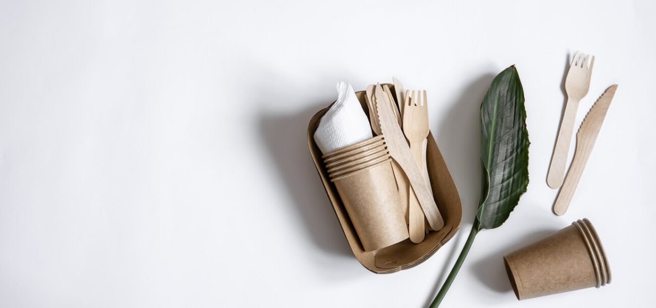 Pulp Mold Machine Manufacturer | Ecosure